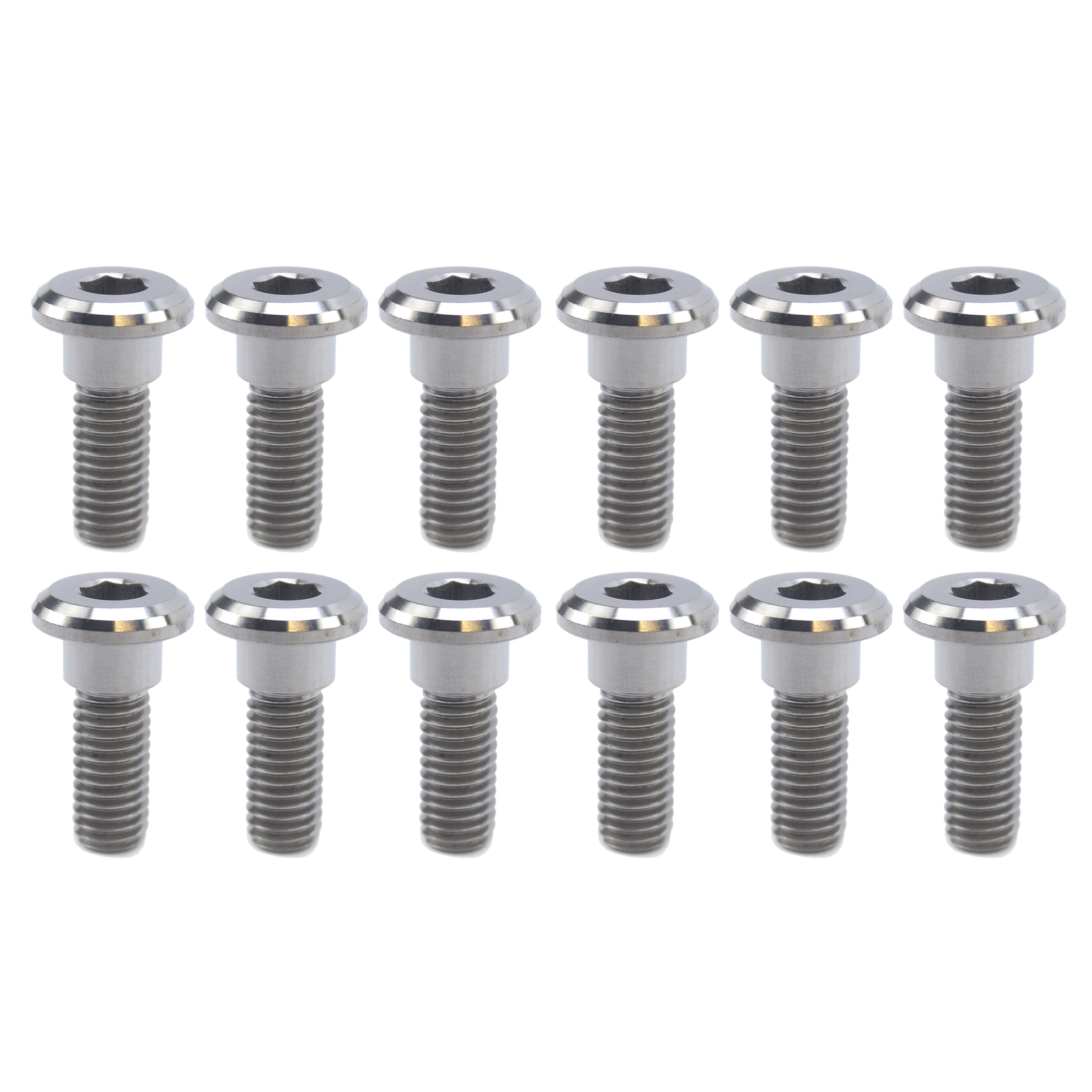 Titanium Disc Bolt Set - (Pack Of 12)